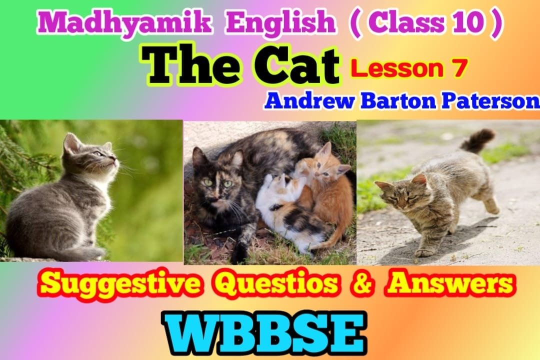 The Cat Questions And Answers Class 10 The Cat Questions And Answers Class 10